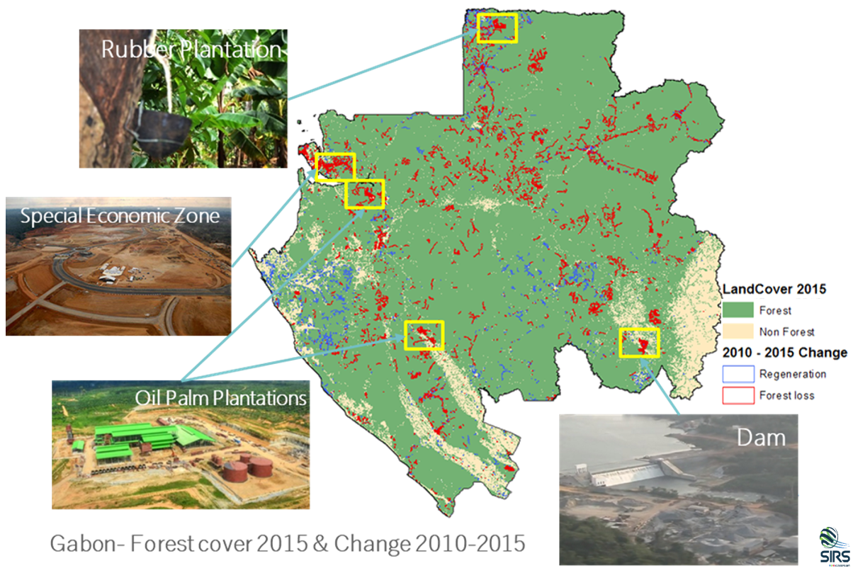 Land Use /Land Cover and Change – EO4SD-FOREST